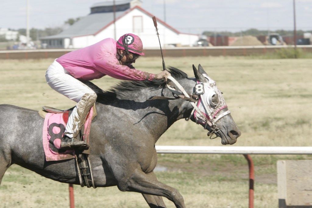 THOROUGHBRED RACING INFO /LIVESTREAM – ROCKY MOUNTAIN TURF CLUB ...